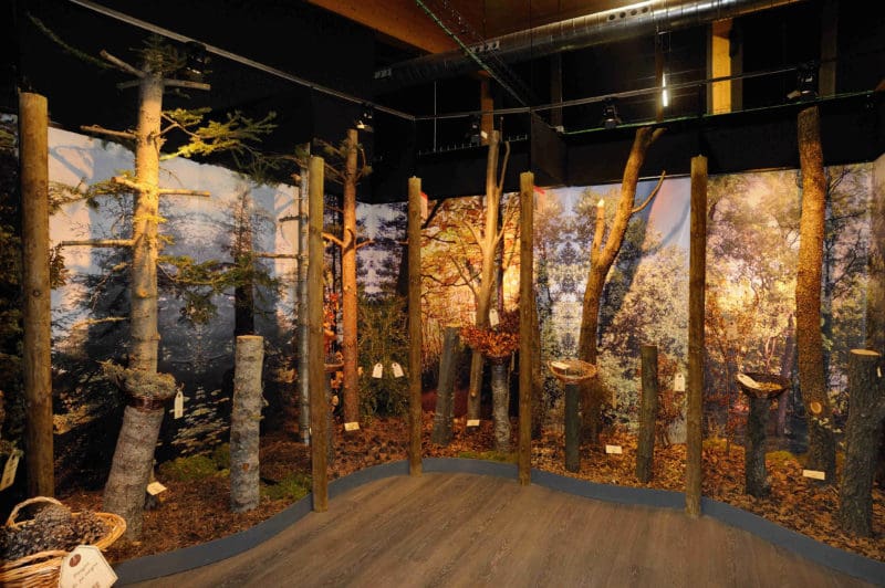 Visit the Flora Center of the Cadí Moixeró Natural Park - Visit Pedraforca